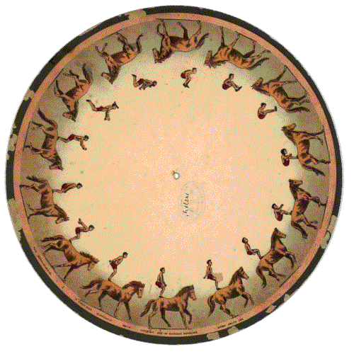 Muybridge-back-flipping-disk-animation-gif